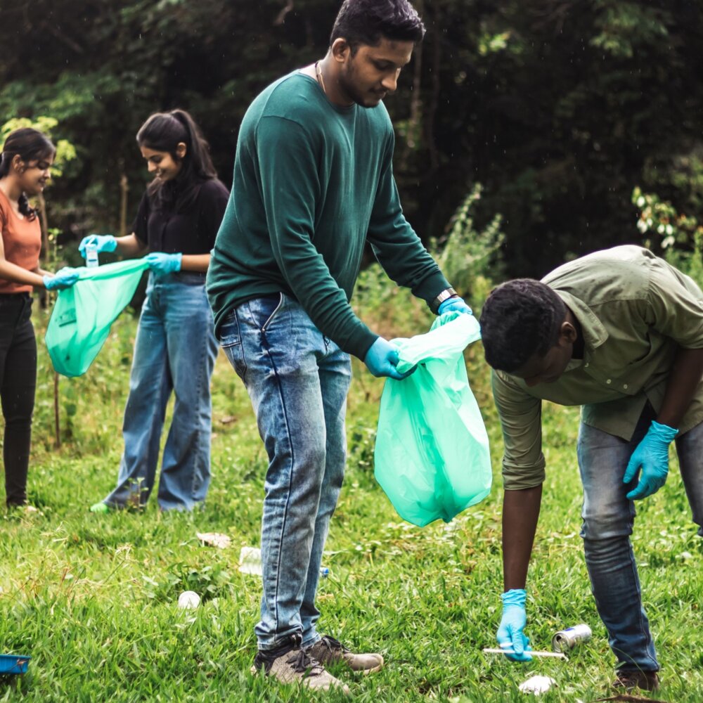 Team Building Nature : Activités Originales, Cohésion